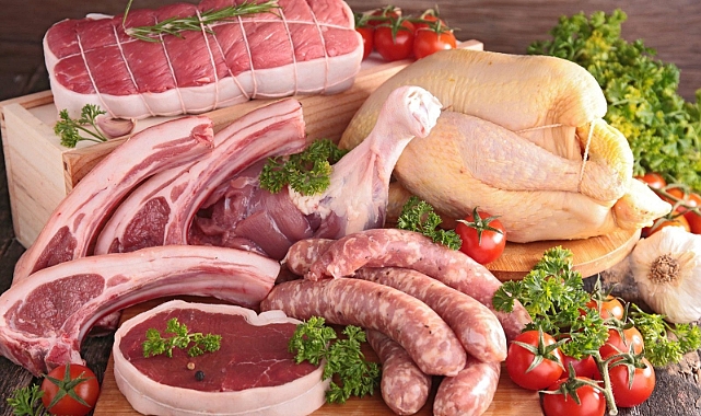 PATNOS SELAHADDİN EYYÜBİ FEN LİSESİ ET VE ET ÜRÜNLERİ ALACAK - Ağrı ...