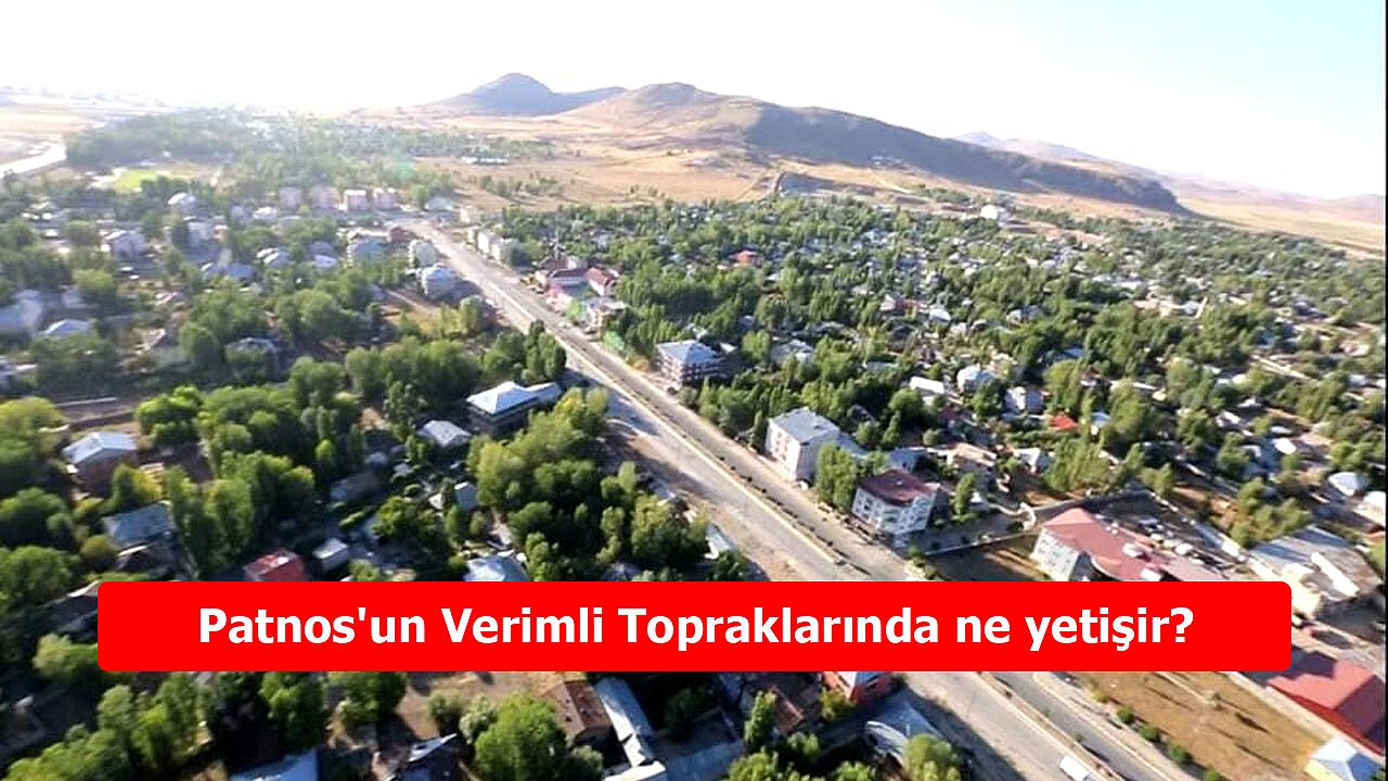 Patnos'un Verimli Topraklarında ne yetişir? Patnos'da en çok ne yenir ...